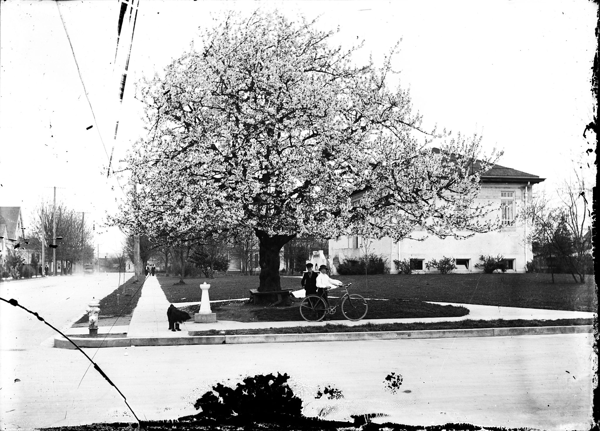 Our Carnegie Exposed - Snohomish Stories